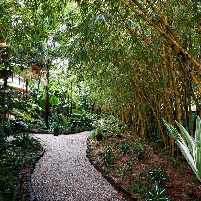 Jacana Amazon Wellness Resort, Paramaribo (updated prices 2025)
