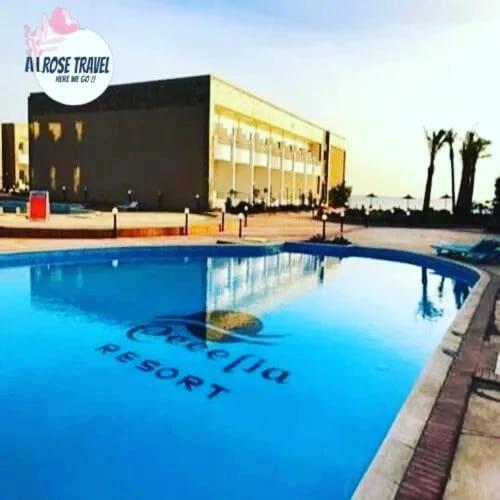 Cecelia Resort Challet, Hurghada (updated prices 2025)