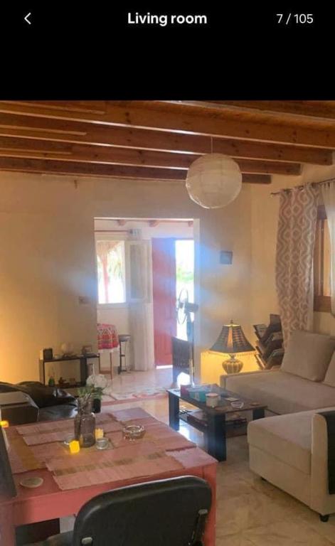 Mellow’s Home, Dahab (updated prices 2025)