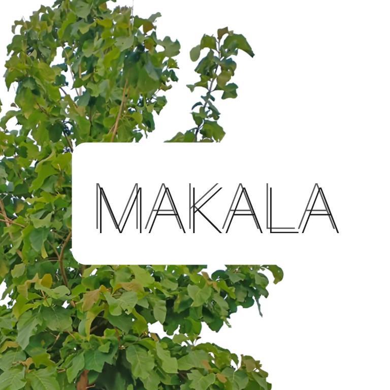 mkdG, Cicadas (updated prices 2025)