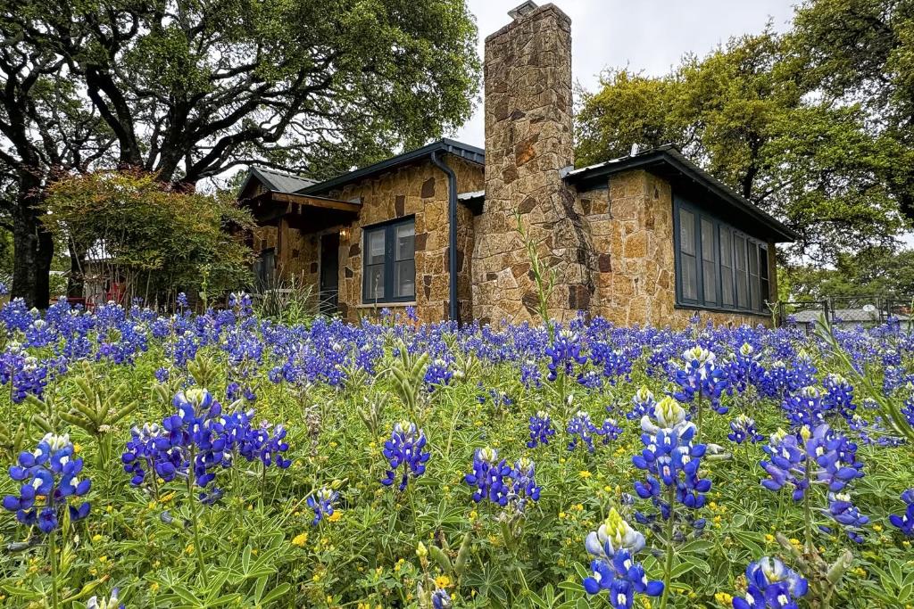 Blue Haus, Johnson City (aktualisierte Preise für 2025)