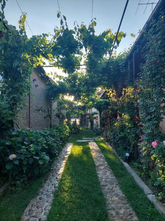 Casa Bucium, Bucium (updated prices 2026)