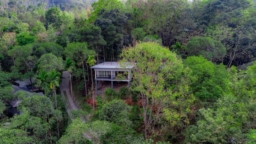 The Hive, Wayanad, Wayanad (updated prices 2024)