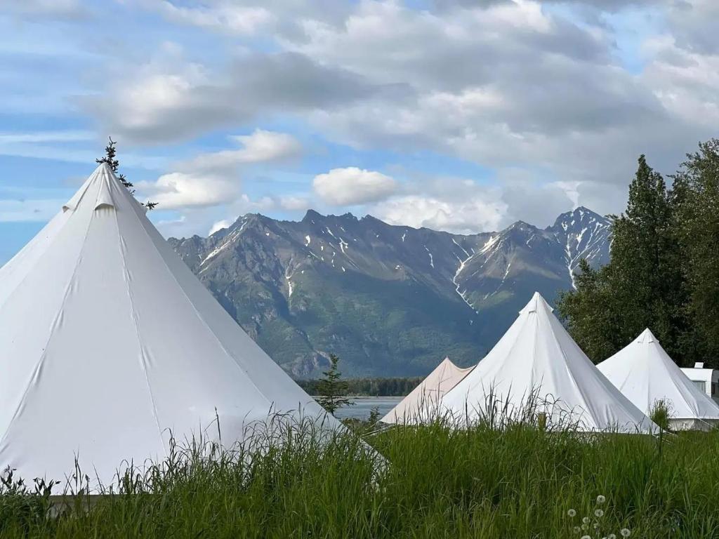Lulu's Glamping Tents and Events with Exceptional River View, Palmer ...