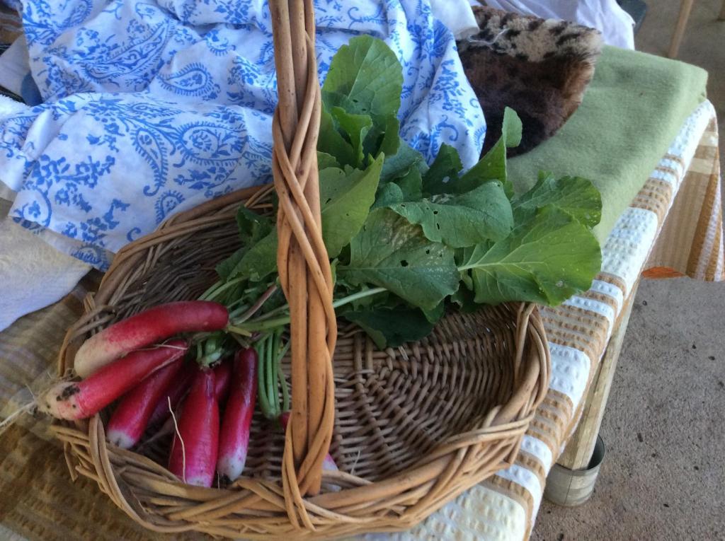 Corella Creek Country Farm Stay, Nelia (updated prices 2025)