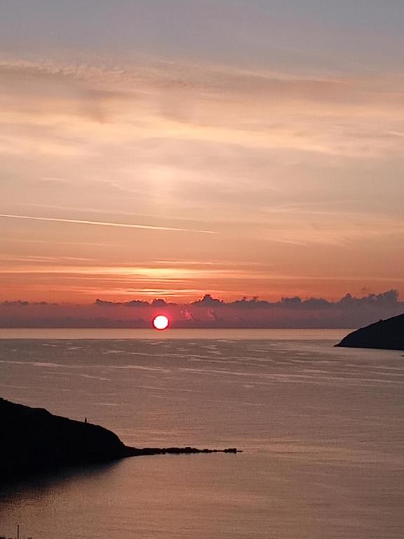 ΘΈΑ, Rogón (precios actualizados 2025)