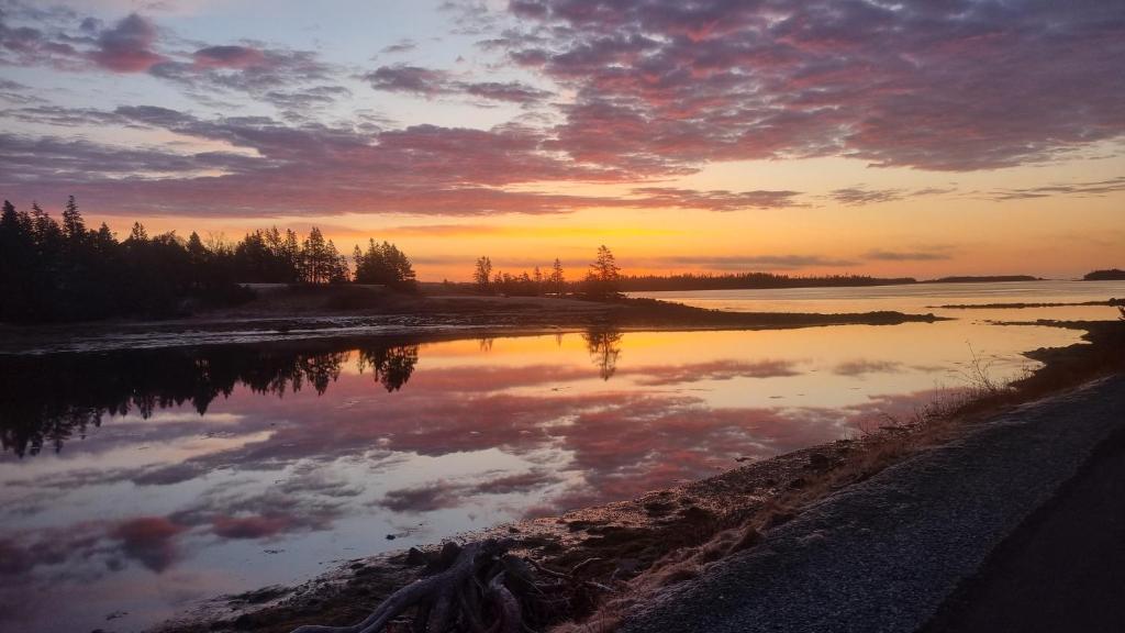 Oceanfront Apartments, Port Dufferin (updated prices 2025)