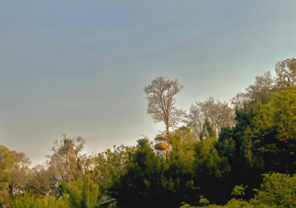 Anantara Golden Triangle Elephant Camp & Resort, Golden Triangle ...