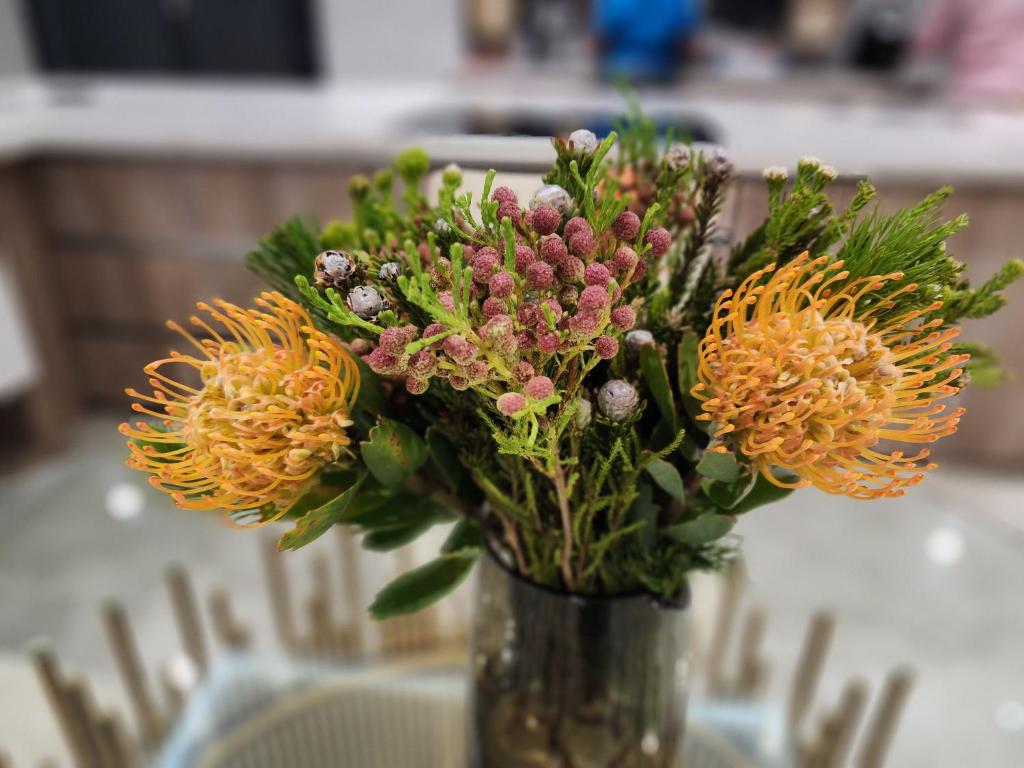 Shepherd Tree, Pretoria (updated prices 2026)