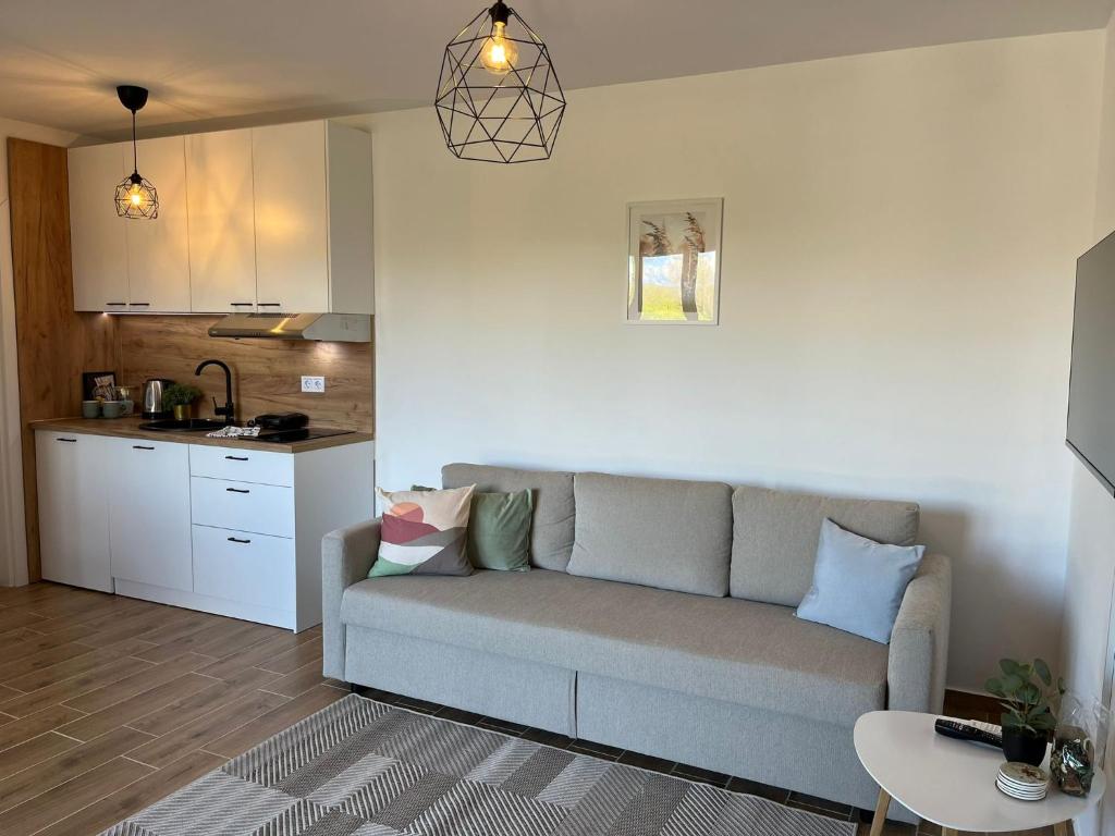 Apartmani Živković, Veliko Gradiste (precios actualizados 2024)