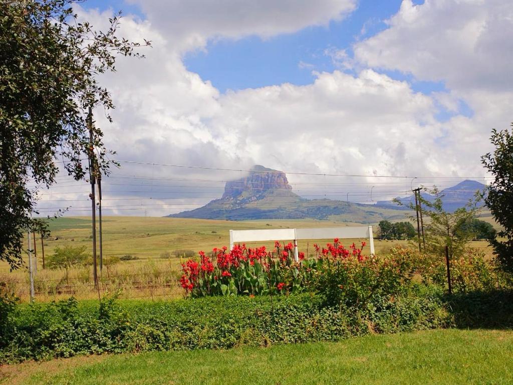 Riverview Country Inn, Van Reenen (updated prices 2025)