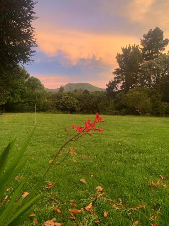 Hogsview, Hogsback (updated prices 2026)