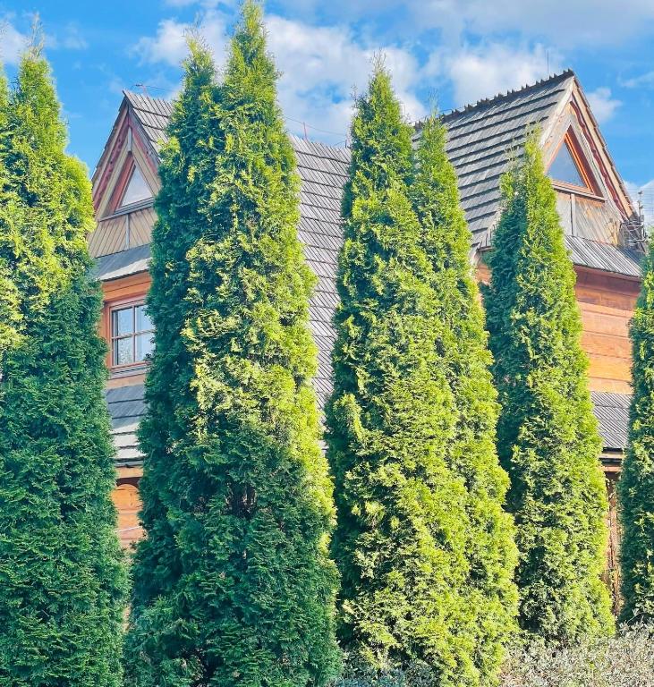 Villa Pandora - Zakopane Centrum, Zakopane (updated prices 2026)