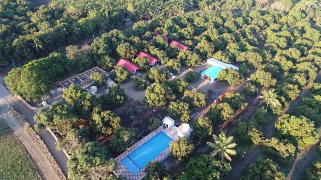 Danak Farm And Resort, Sasan Gir (updated prices 2026)