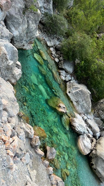 Alpine Paradise Guesthouse, Dragobi (updated prices 2025)