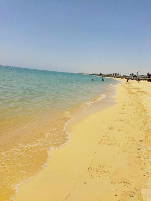 Laserina palm Khorshed stadio there extra entrance fees 250 LE per ...