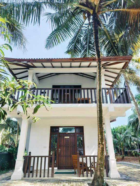 Nancy Guest, Mirissa (updated prices 2025)