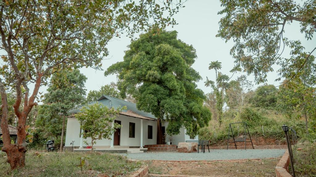 Paithal village Homestay, Paithalmala (updated prices 2026)