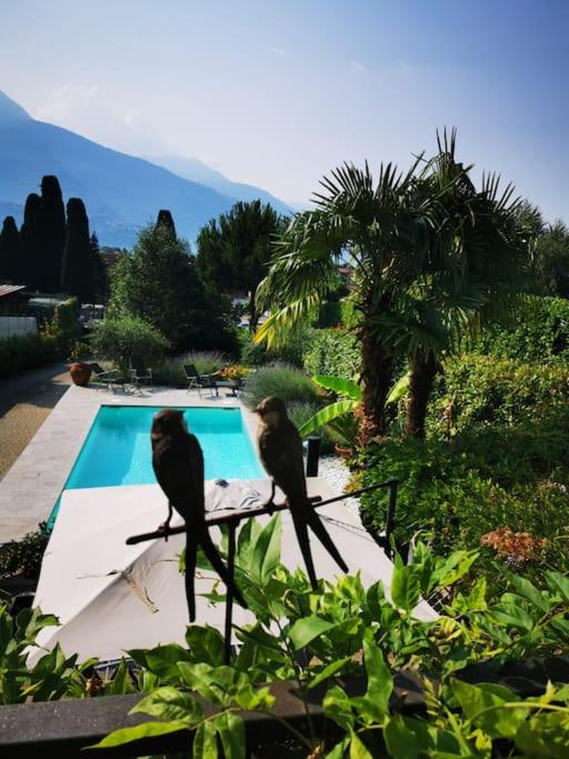 Vacation Home in Villa with Pool, Consiglio di Rumo (updated prices 2025)