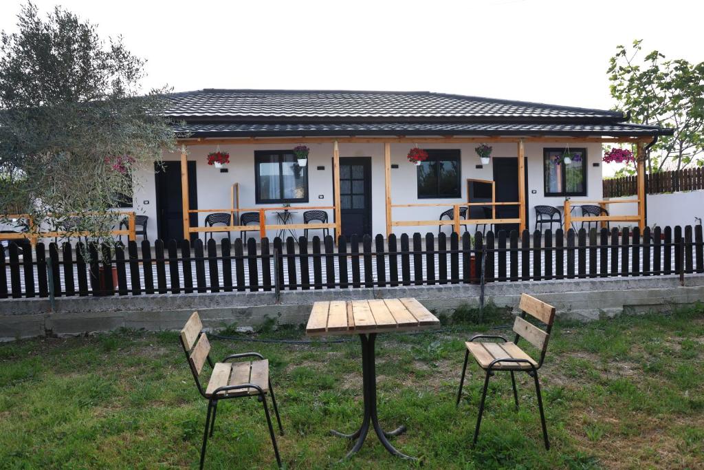 Olive Oasis Studio, Berat (updated prices 2025)