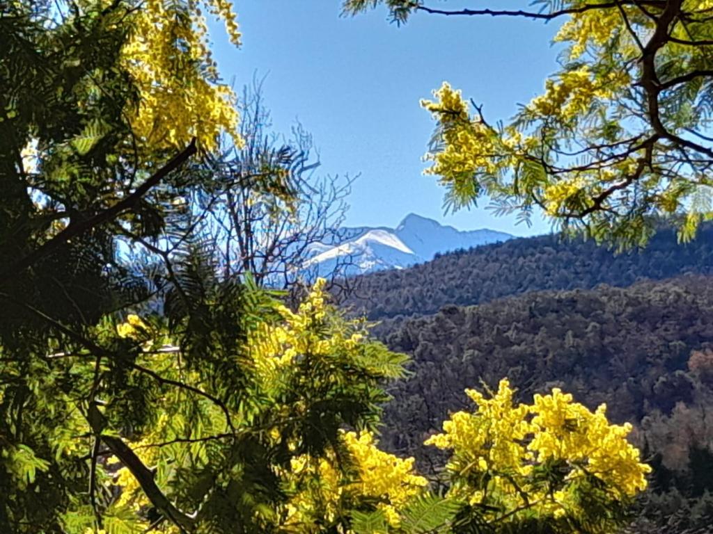 DOMAINE St GEORGES, Mosset (tarifs actualisés, 2025)