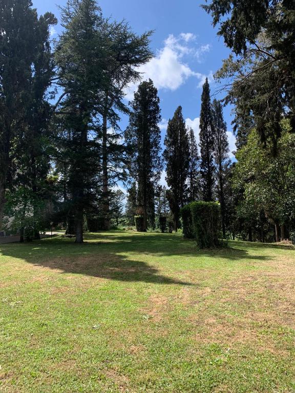 Un'oasi nel verde a pochi chilometri dalla città, Rome – Updated 2024 ...