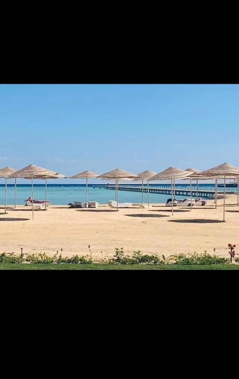 Scandic Resort, Hurghada (updated prices 2026)