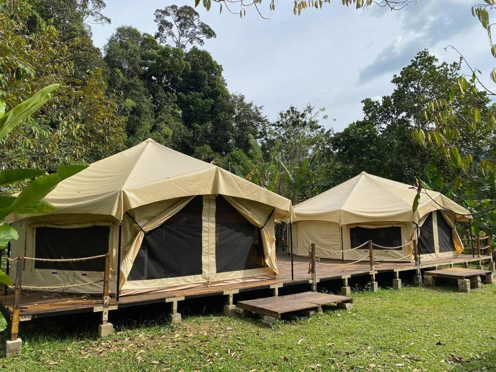 Canopy Villa Glamping Park, Kampong Sum Sum (updated prices 2026)
