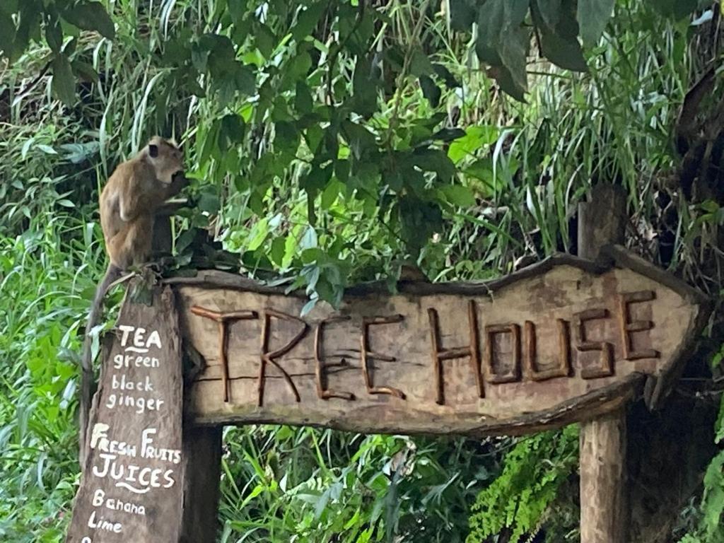 Ella Treehouse, Ella (updated prices 2025)