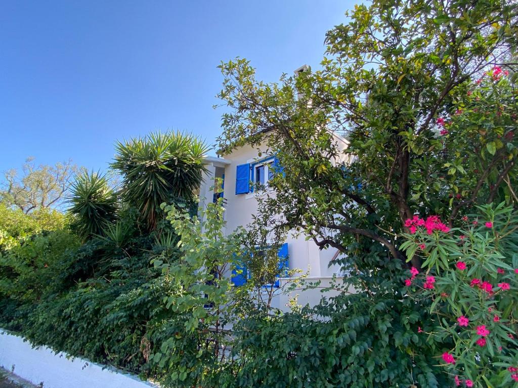 Fiona's House Apartments, Káto Korakiána (updated prices 2025)