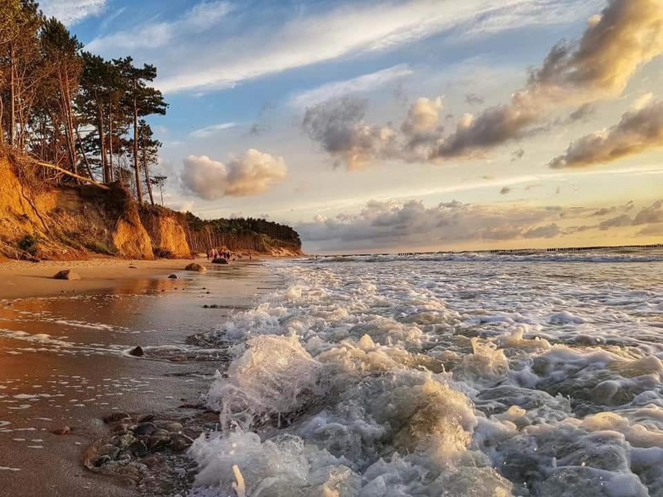 Domki BIAŁA MEWA, Wicie (updated prices 2024)