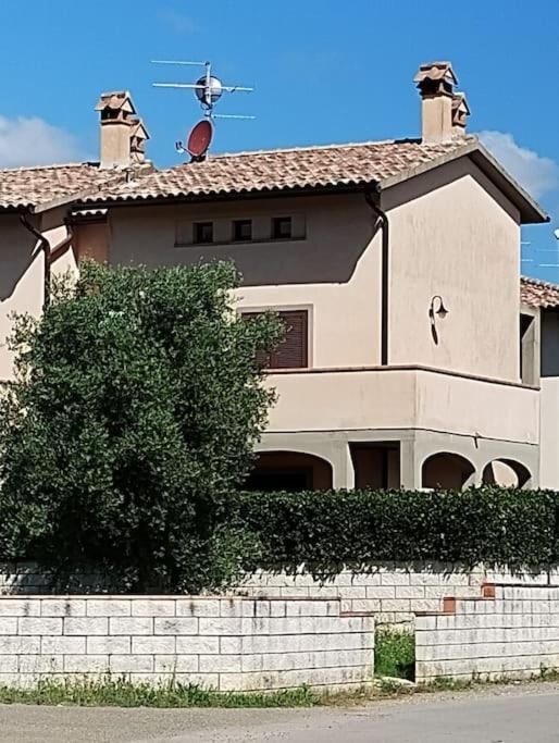 Nel regno del Morellino, Scansano – Updated 2024 Prices