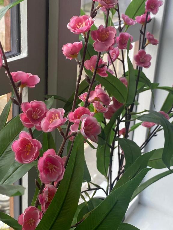 The White Hart Apartment Valley View, Alton (updated prices 2025)