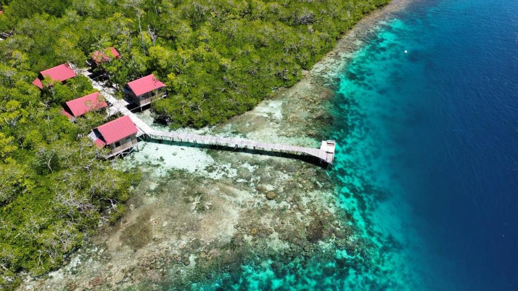 Raja Ampat Blue Sea, Besir (updated prices 2025)