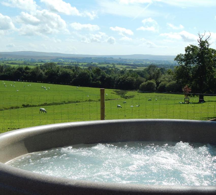 The Lodges at Thornbrook, Ingleton (updated prices 2025)