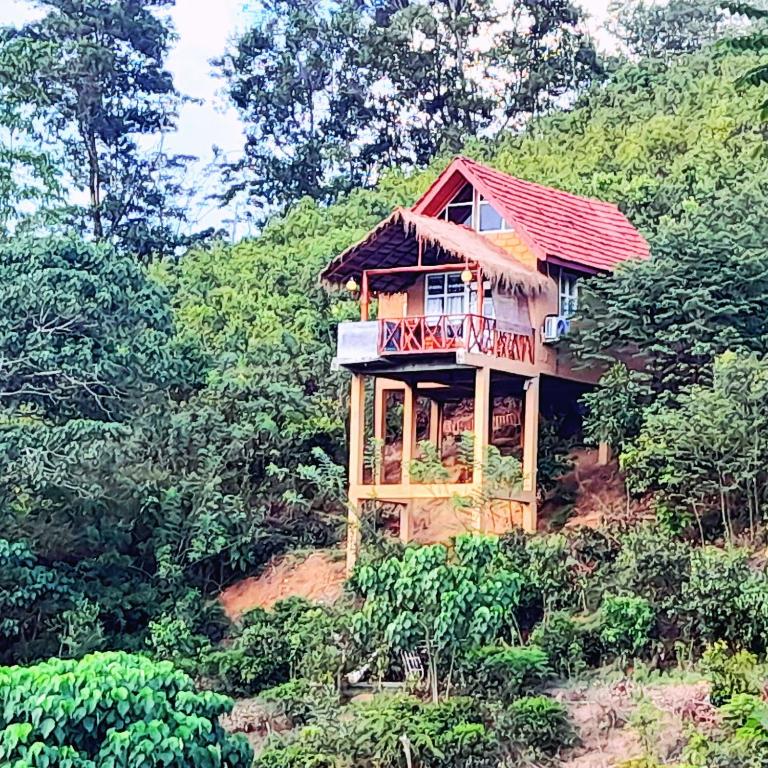 Dins Nature Villa, Elgiriya – Updated 2024 Prices