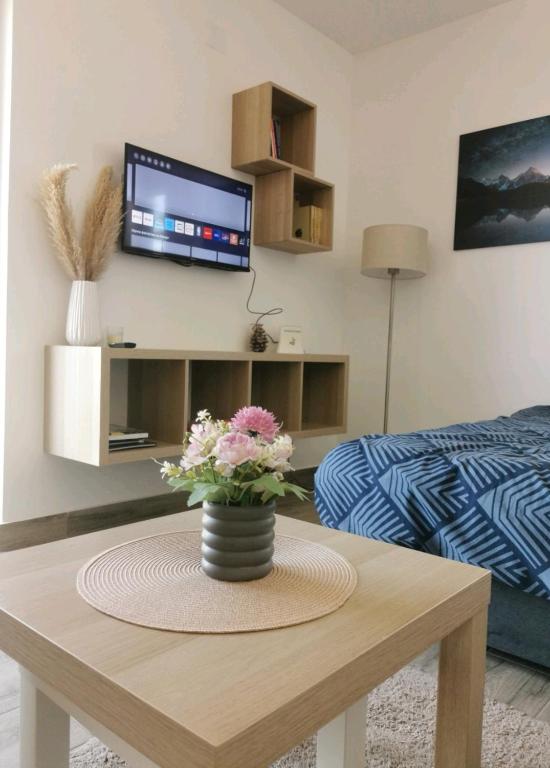 Studio Vidik Sofija, Divčibare (updated prices 2025)