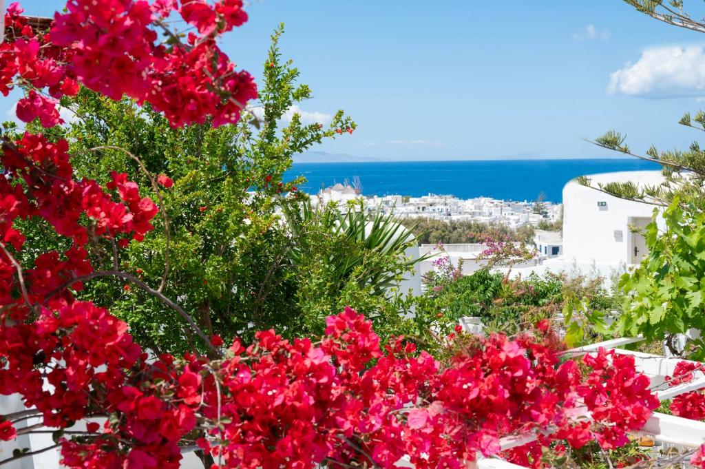 Boutique di Vito, Mýkonos City – Updated 2024 Prices