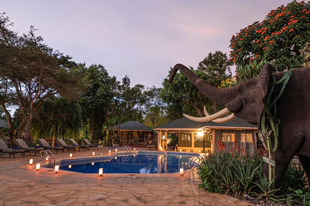 KUDU LODGE & CAMPSITE, Karatu (updated prices 2024)