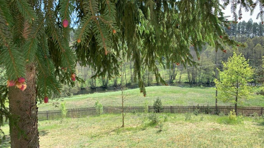 Dom Mossa, Stara Rzeka (updated prices 2025)