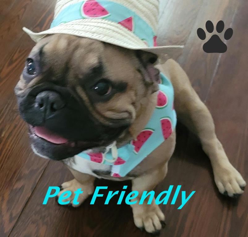 Grand Panama 1-1403 'It's A Shore Thang', Panama City Beach (updated ...