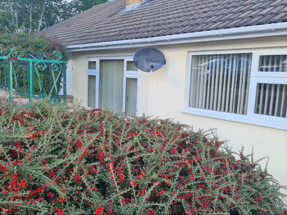 Wenford Dorma Bungalow, Mostyn (updated prices 2025)