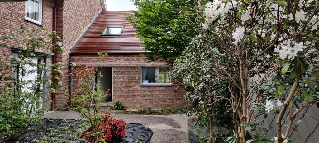 Docs House, Wetteren (updated prices 2025)