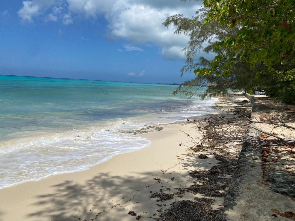 Sea Shells, Nassau (updated prices 2025)