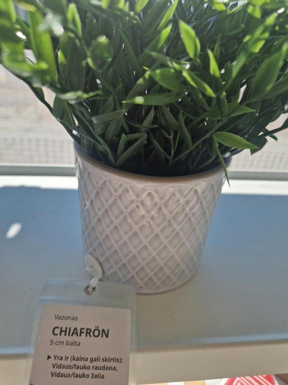 Old Memel Apartments, Klaipėda (updated prices 2025)