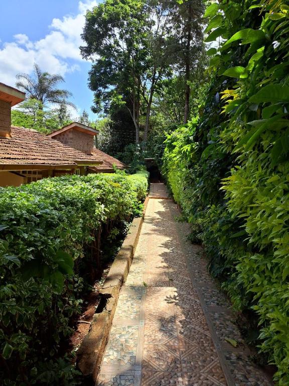 Rosslyn Studios, Nairobi (updated prices 2025)
