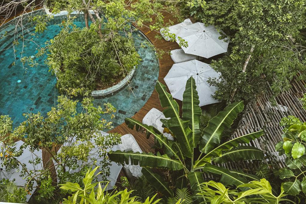 Exclusive Penthouse Aldea Zama Tulum, Tulum (updated prices 2025)