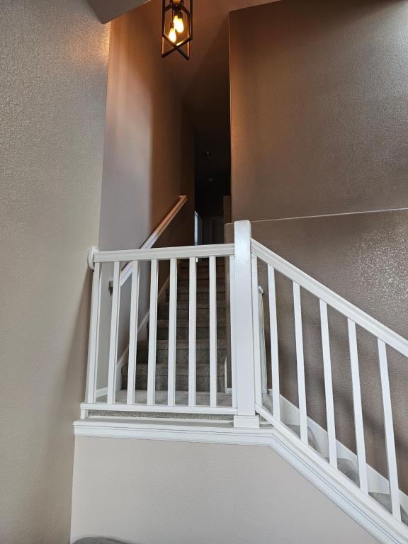 Vanilla suits, Colorado Springs (updated prices 2026)