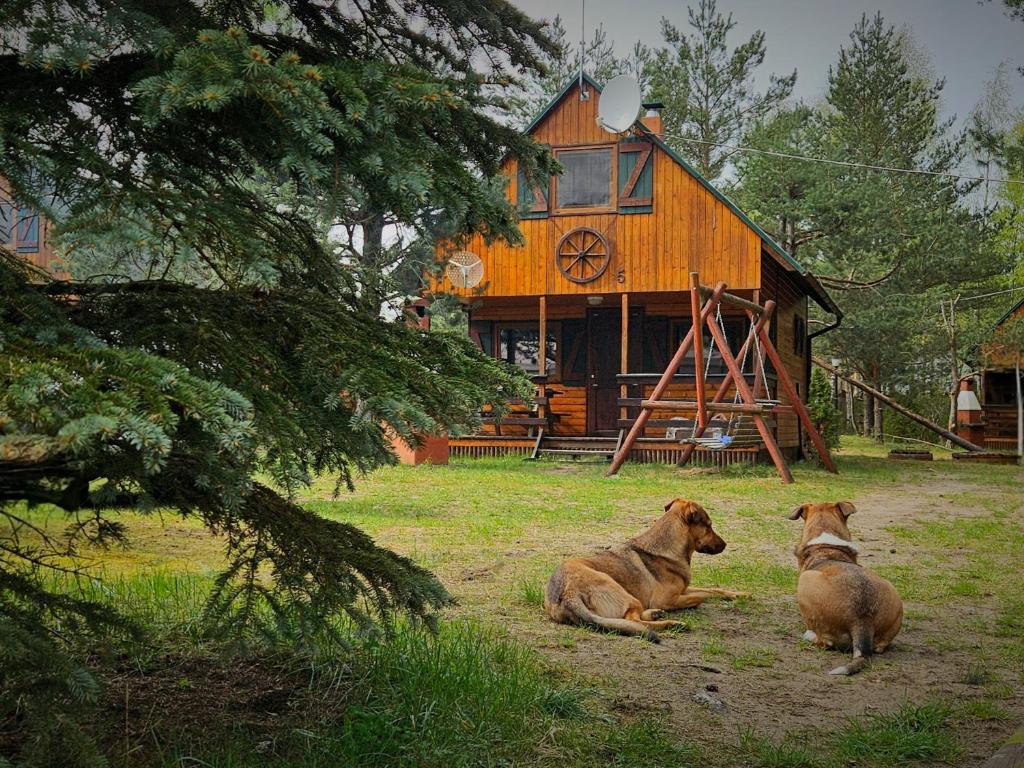 Osada nad Wdą w Borsku, Borsk (updated prices 2026)