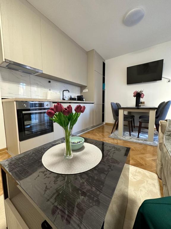 Talija apartman 3, Vrnjačka Banja (updated prices 2025)